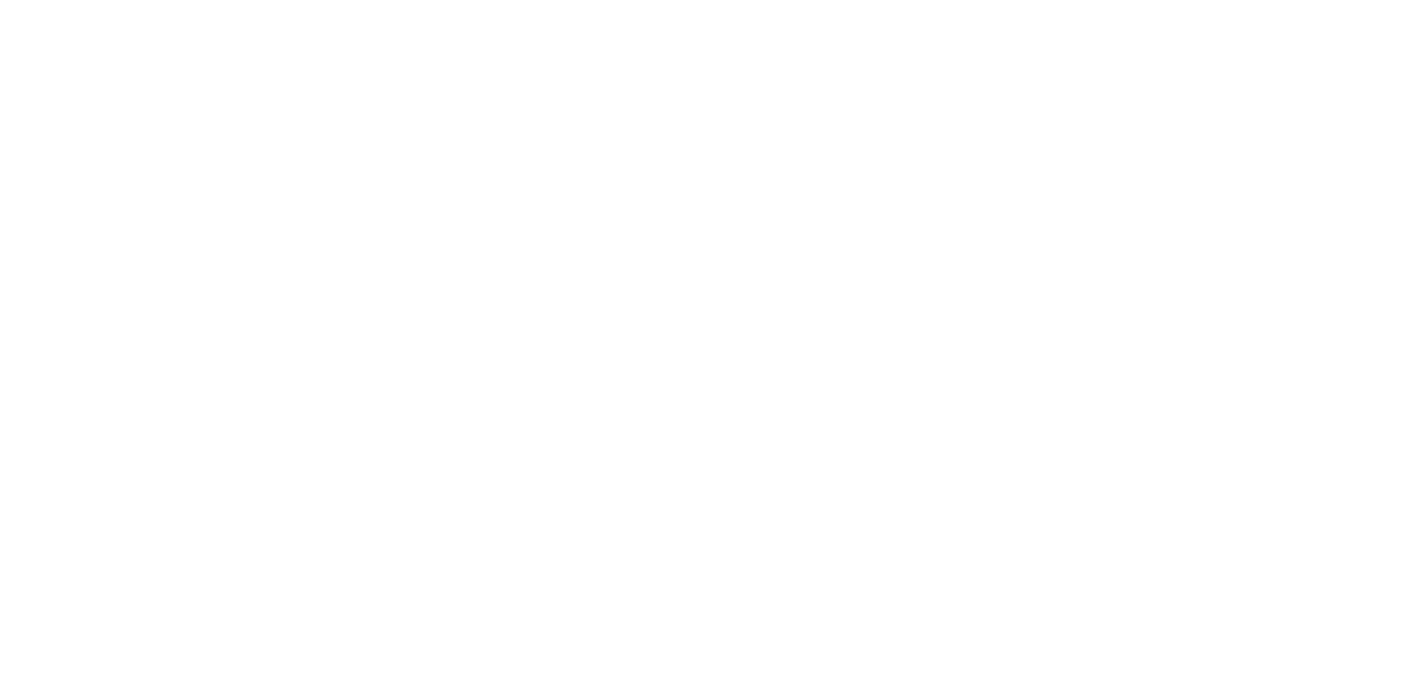 WHO WE ARE | Ascent Insurance Advisors